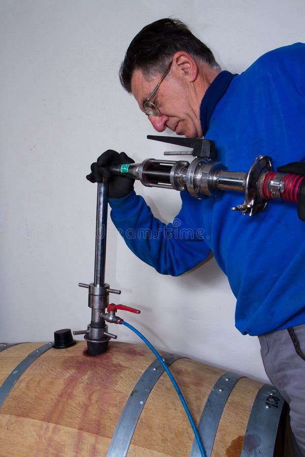 Wine cellar wine maker stock image. Image of alcohol - 92018579