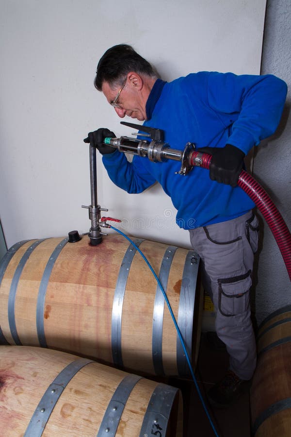 Wine cellar wine maker stock photo. Image of vine, beverage - 92018636