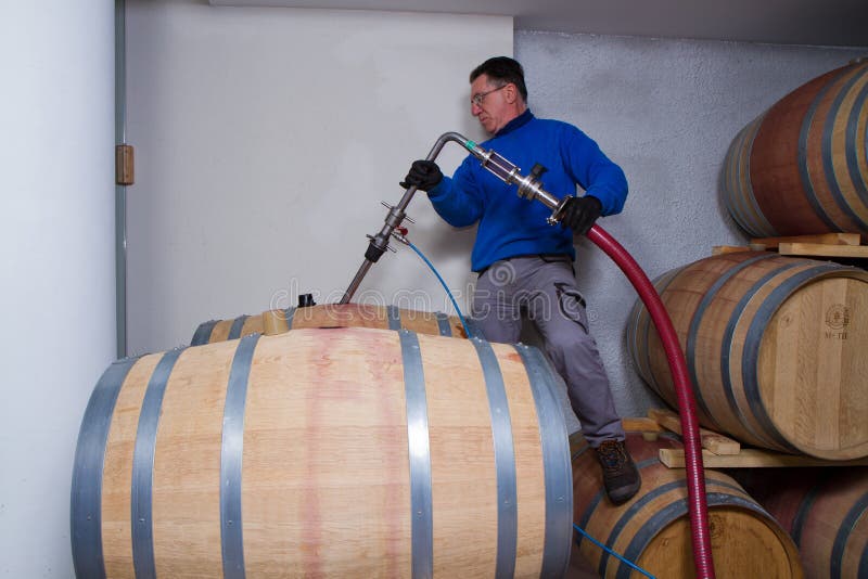 Wine cellar wine maker stock image. Image of underground - 92018713