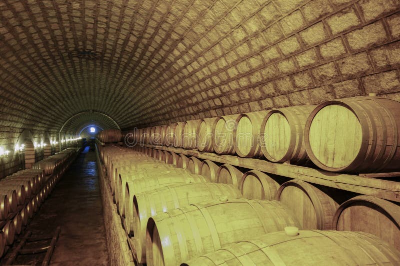 Wine Cellar with Wooden Barrels Stock Image - Image of barrels, wine ...