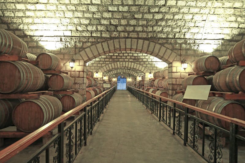 Wine Cellar with Wooden Barrels Stock Illustration - Illustration of ...
