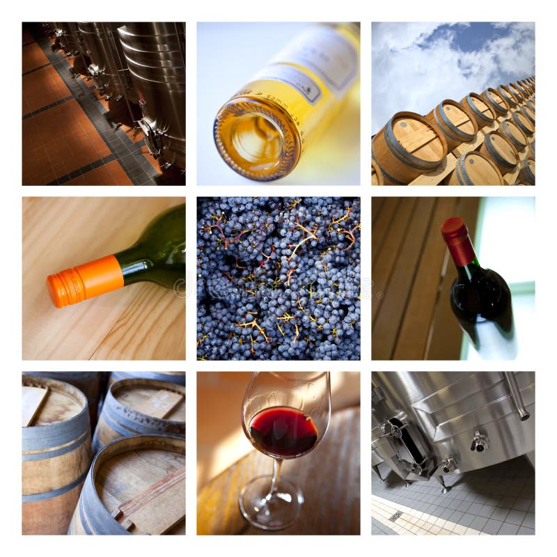 Wine collage stock photo. Image of vineyard, agriculture - 40124884