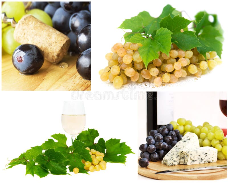 Cork board stock photo. Image of office, publish, announce - 12639200