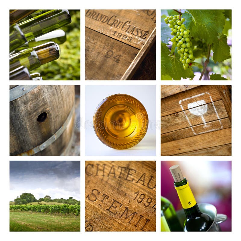 Wine collage stock photo. Image of collage, barrel, fruit - 40126602