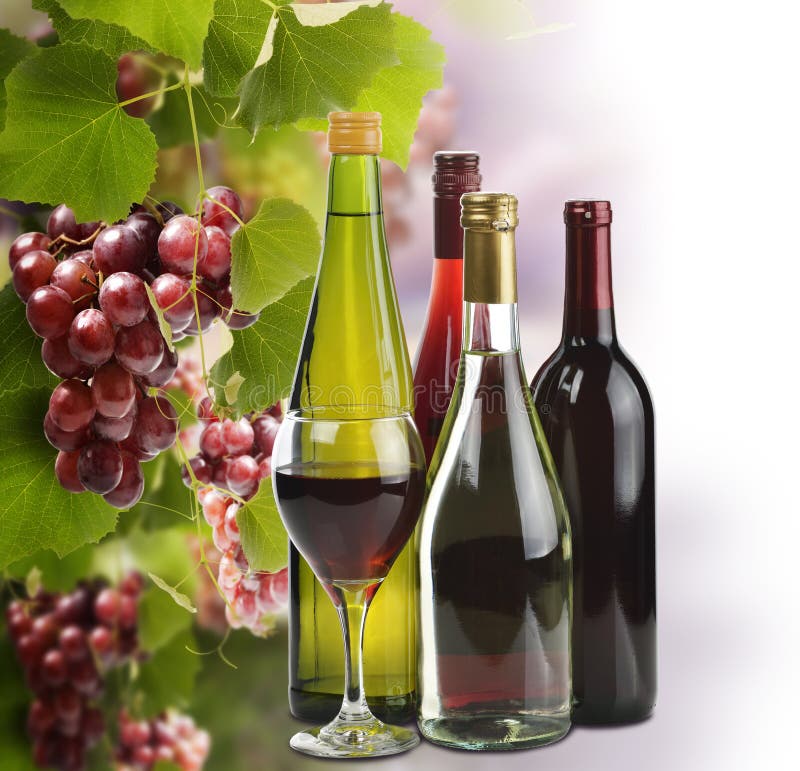 Wine Collection stock image. Image of wine, food, drink - 36371339