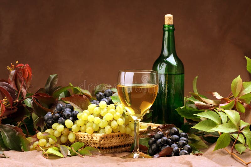 Wine composition stock photo. Image of brown, grapevine - 3585148