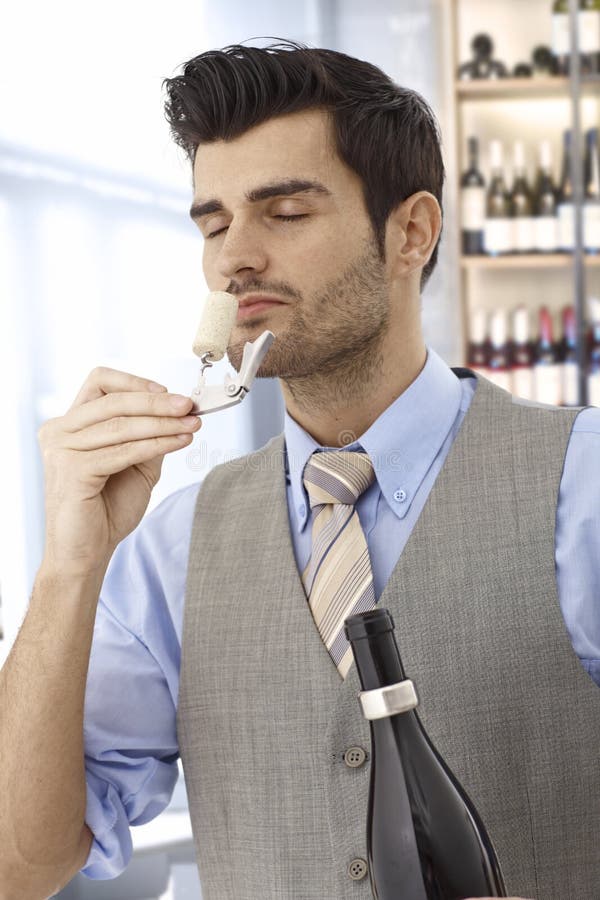 Wine-expert in work stock image. Image of indoor, american - 38603175