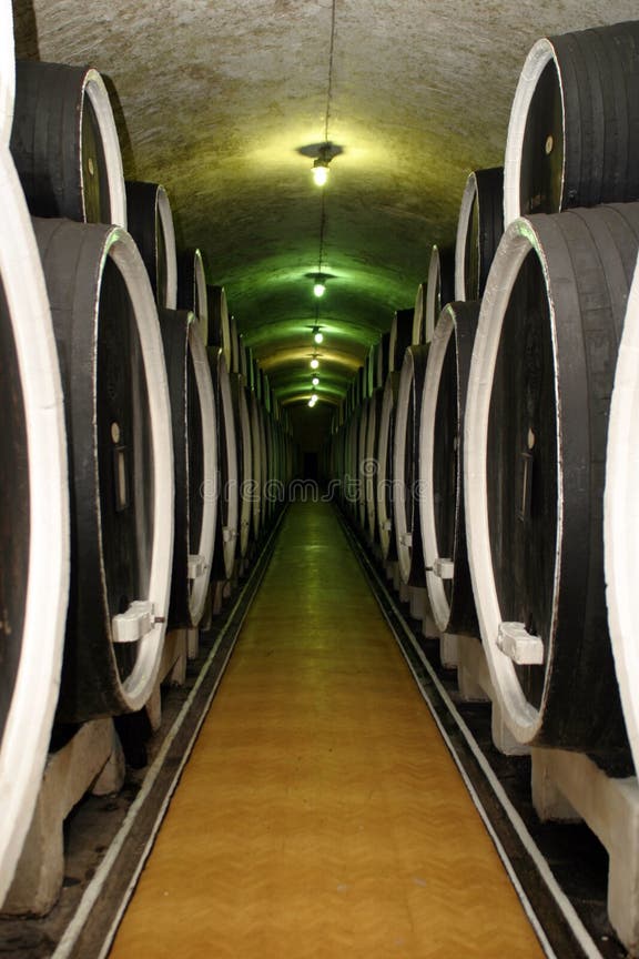 Wine fermentaion barrels stock image. Image of reserve - 24416545