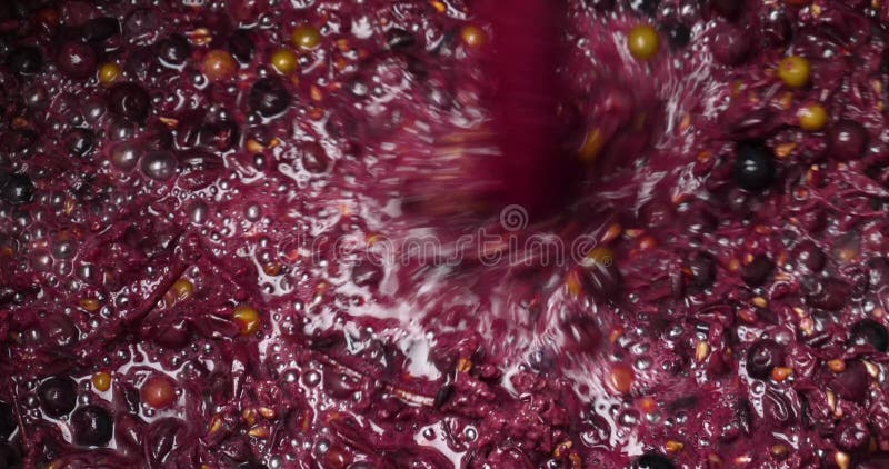Wine Fermentation, the Process of Making Wine from Grapes Stock Video ...