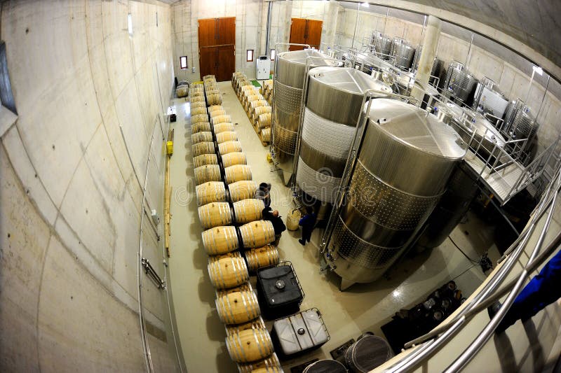 Wine Fermentation in Big Vats Stock Photo - Image of tanks, metal: 26843822