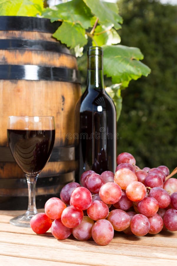 Rustic food and wine stock photo. Image of life, traditional - 22903650