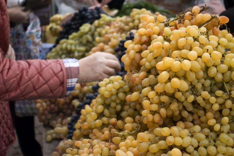 Grapes on the market stock image. Image of vegetables - 79107365