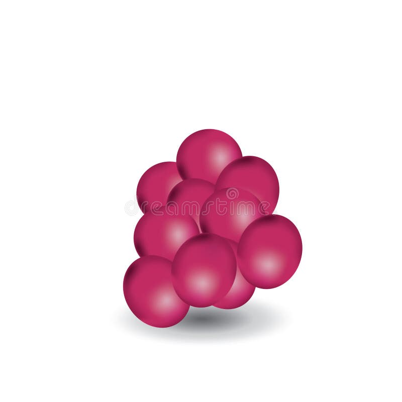 Wine Grapes. Vector Illustration Decorative Design Stock Vector ...