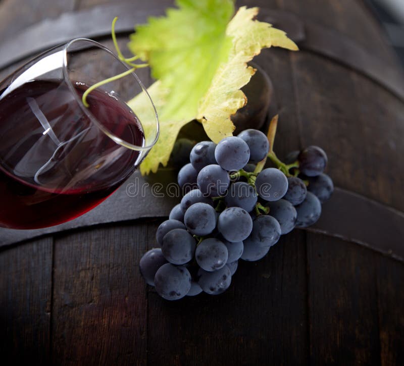 Wine grapes stock image. Image of grapes, purple, agriculture - 35637395