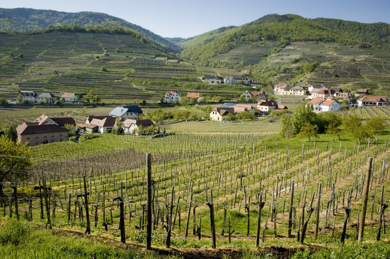 Village Amd Farms of Santo Stefano, Valdobbiadene Stock Image - Image ...