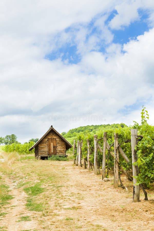 Old wine house stock image. Image of july, sobralinho - 111274417