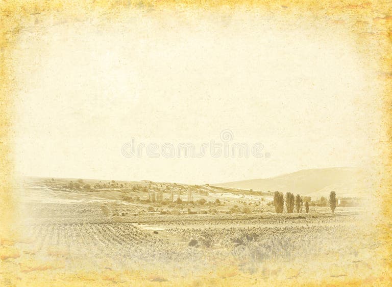 6,539 Ornate Label Design Stock Photos - Free & Royalty-Free Stock ...