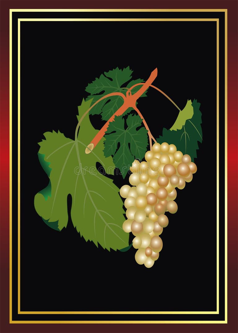 Black Grape Wine Label Stock Illustrations – 7,140 Black Grape Wine ...