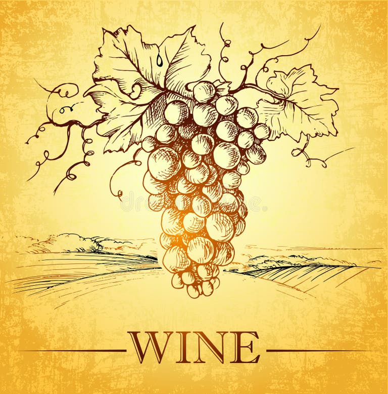 Barre Stock Illustrations – 906 Barre Stock Illustrations, Vectors ...