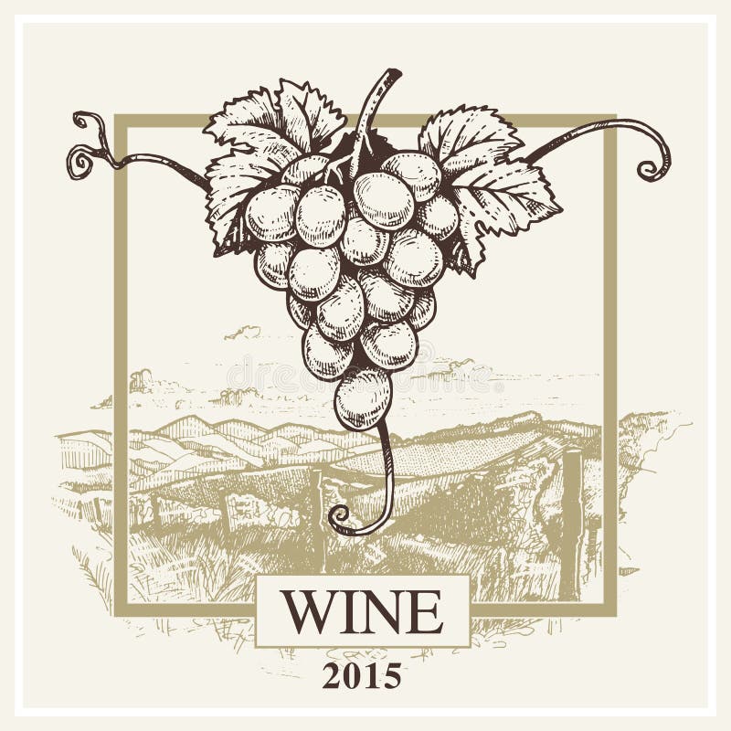 Wine Vintage Grapes Label Background Stock Vector - Illustration of ...