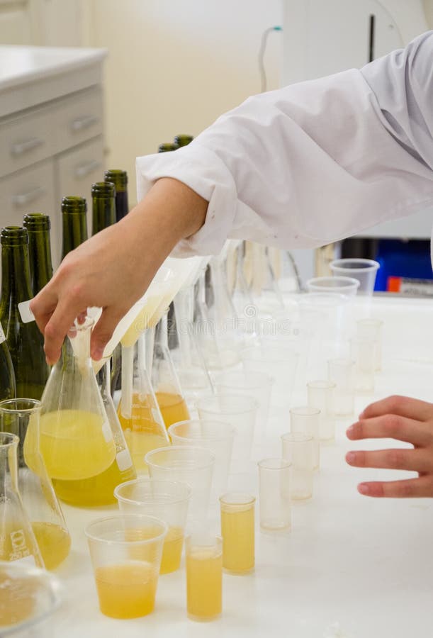 Wine Laboratory at the Winery Stock Image - Image of drink, industry ...