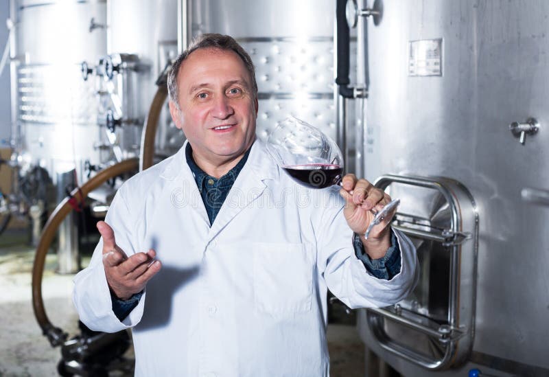 Wine Maker Controls Quality of Wine Stock Photo - Image of tasting ...