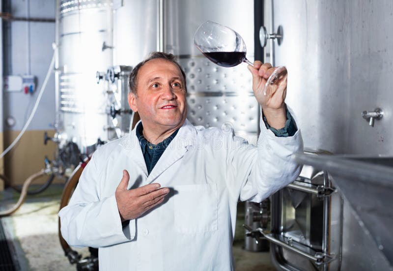 Wine Maker Controls Quality of Wine Stock Photo - Image of tasting ...