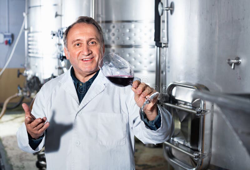 Wine Maker Controls Quality of Wine Stock Photo - Image of tasting ...