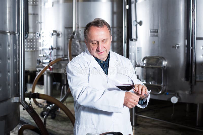 Wine Maker Controls Quality of Wine Stock Photo - Image of tasting ...