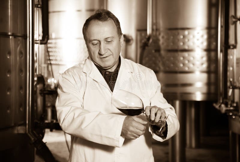 Wine Maker Controls Quality of Wine Stock Photo - Image of tasting ...