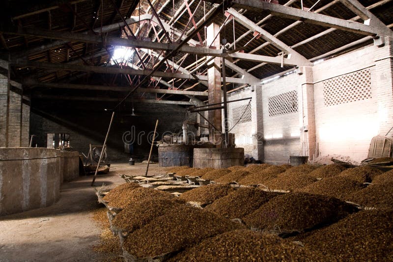 Wine Making stock image. Image of making, alcohol, liqueur - 8067969