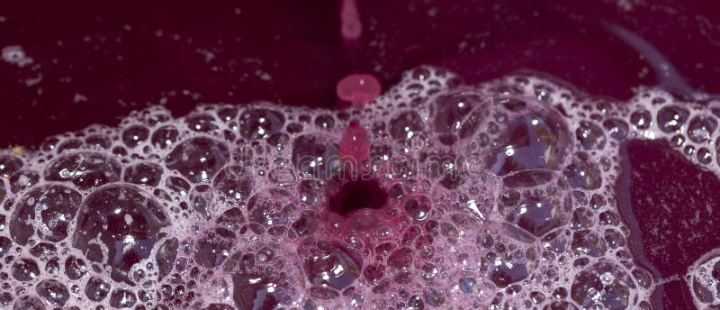Fresh Grape Juice with Foam. Must Flows and is Collected in a Special ...