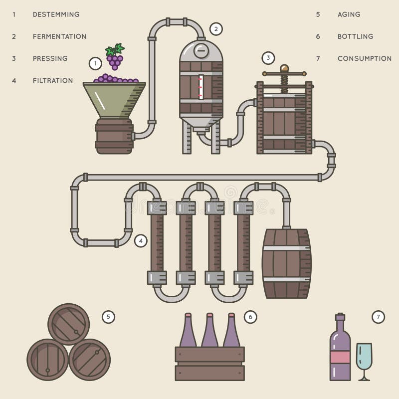 Wine Making Stock Illustrations – 4,010 Wine Making Stock Illustrations ...