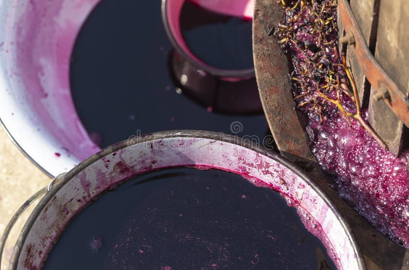 Grape Processing on the Machine Stock Image - Image of liquid ...