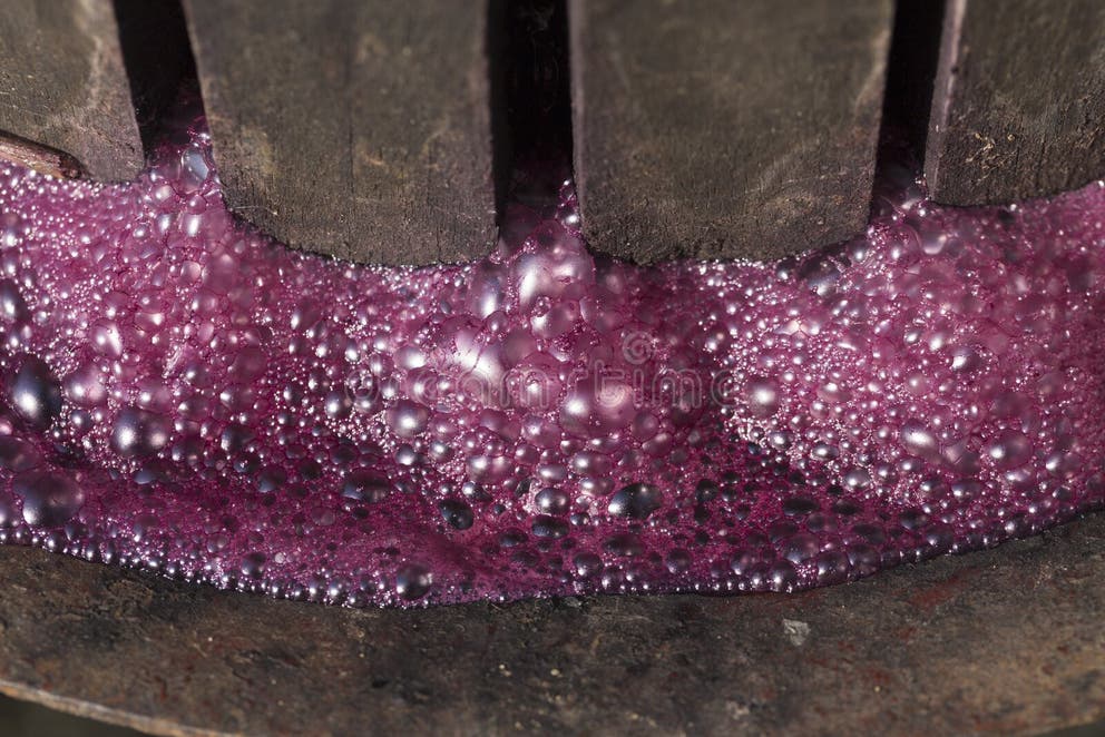 The Squeezer is Used To Press the Wine Stock Photo - Image of moldova ...