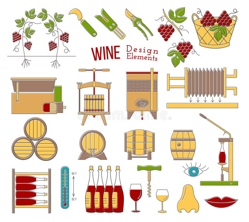 Vector Illustration of Wine Making. How Wine is Made, Wine Elements ...
