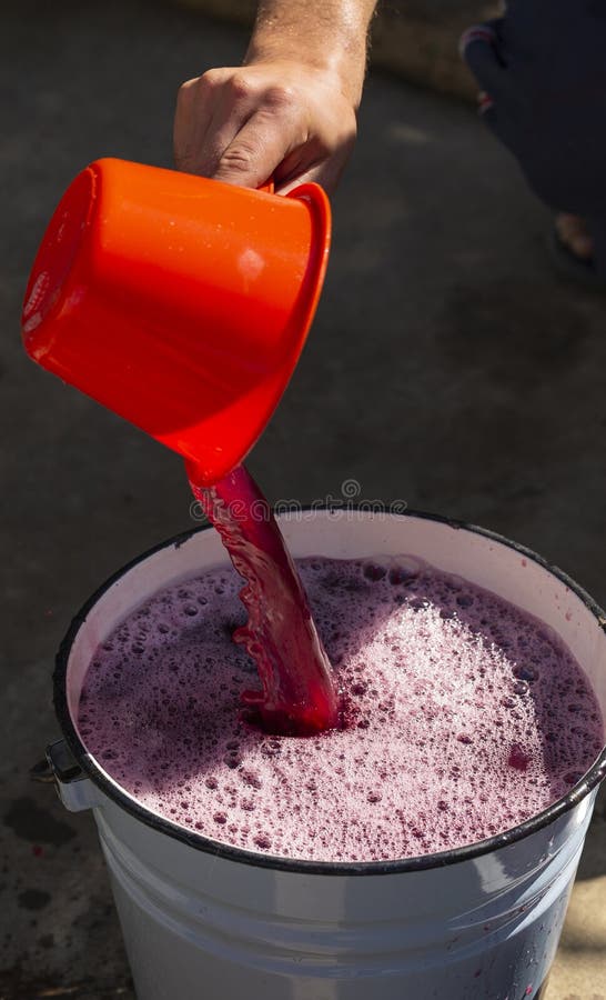 Man tasting wine stock image. Image of retail, sales - 79241001