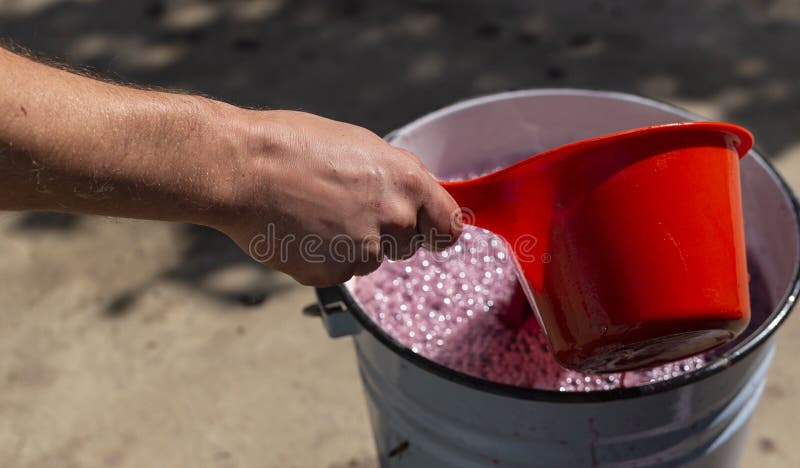 Wine Making. the Winemaker Extracts the Must from the Container for ...