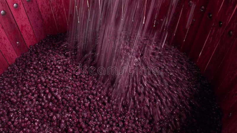 Wine Mixing during Fermentation Process in Barrel Stock Footage - Video ...