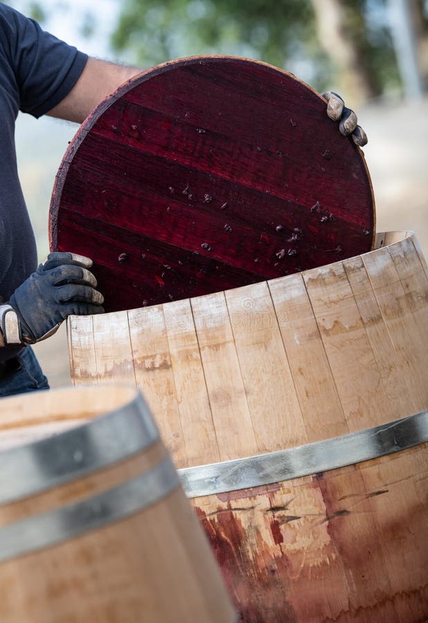 Wine Mixing during Fermentation Process in Barrel, Bordeaux Vineyard ...