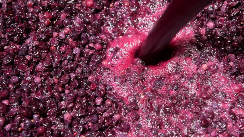 Wine Mixing during Fermentation Process Stock Video - Video of harvest ...
