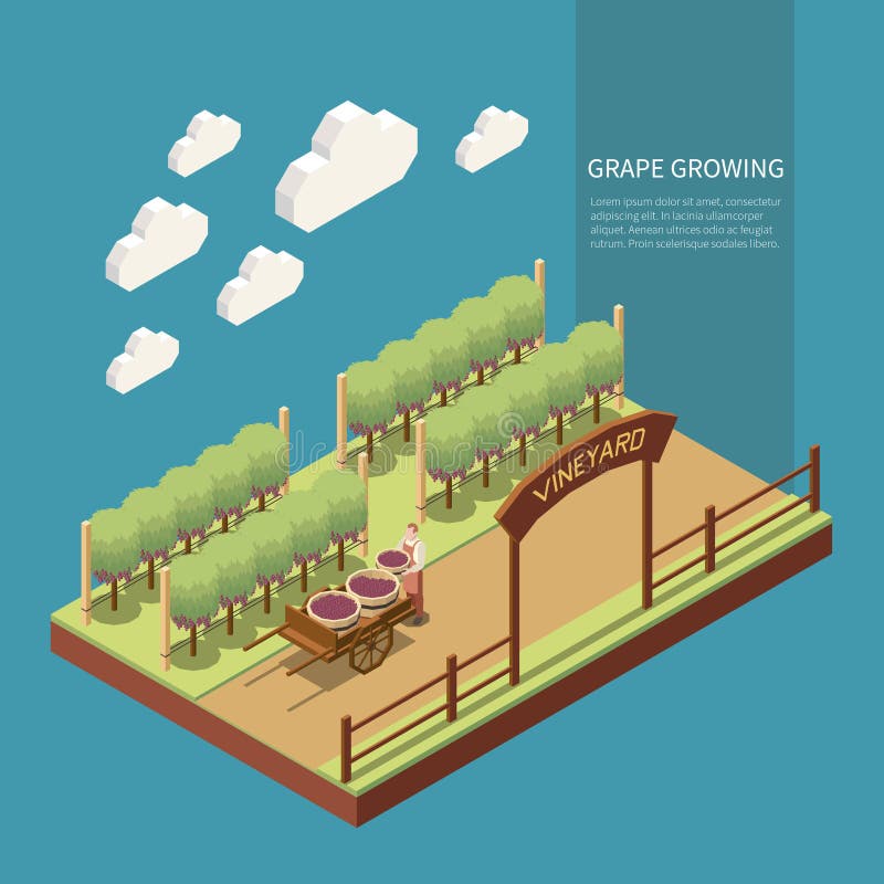 Wine Production Isometric Composition Stock Vector - Illustration of ...