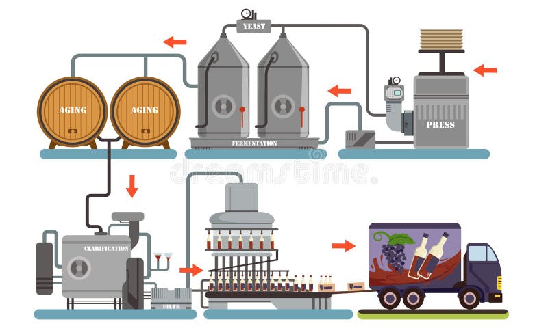 Wine Production Process, Alcoholic Beverages Making Equipment, Grapes ...