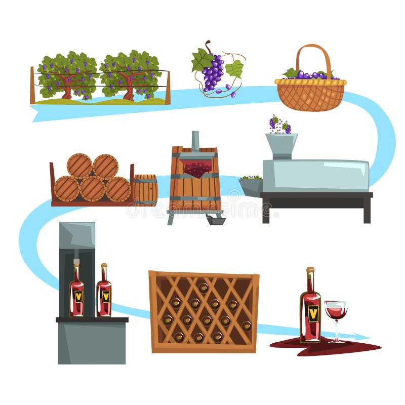 Wine Production Process, Production Beverage from Grape Flat Vector ...