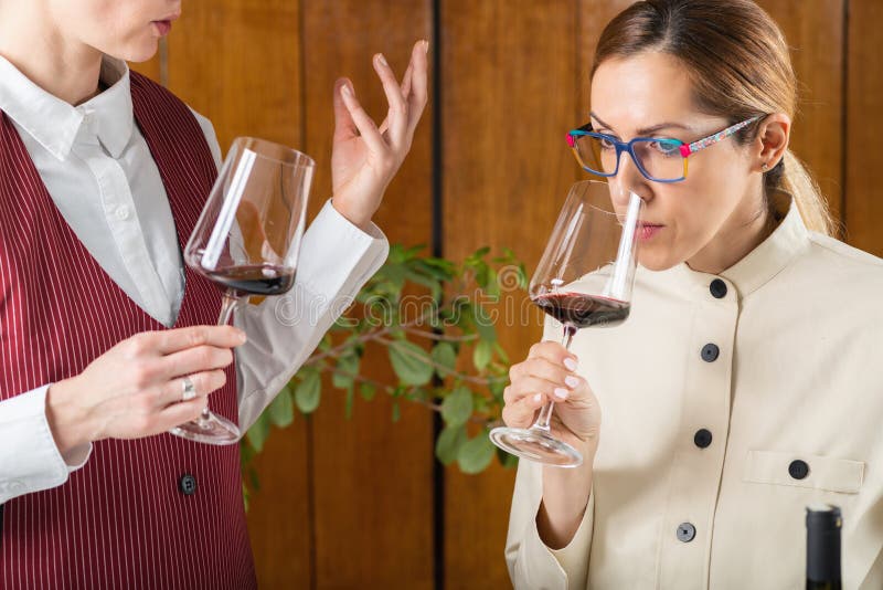 Wine Quality Assessment stock photo. Image of evaluate - 277029040