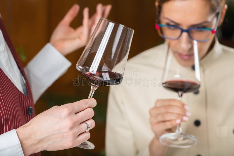 Wine Quality Assessment stock photo. Image of tasting - 277029070