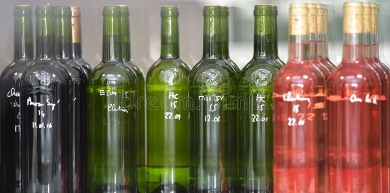 Wine Quality Control Testing in Laboratory Stock Photo - Image of ...