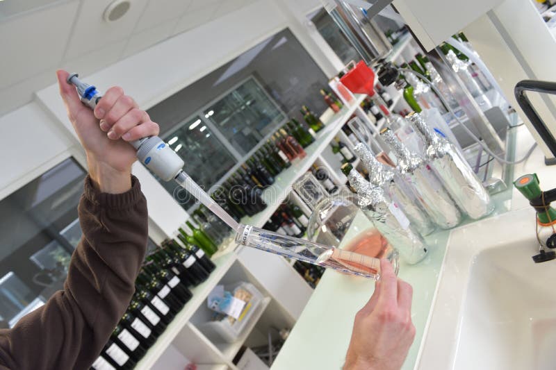 Wine Quality Control Testing in Laboratory Stock Photo - Image of ...
