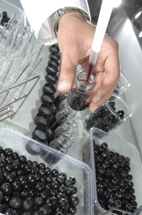 Wine Quality Control Testing in Modern Laboratory Stock Photo - Image ...