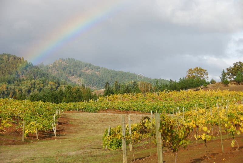 Tenmile Area Stock Photos - Free & Royalty-Free Stock Photos from ...